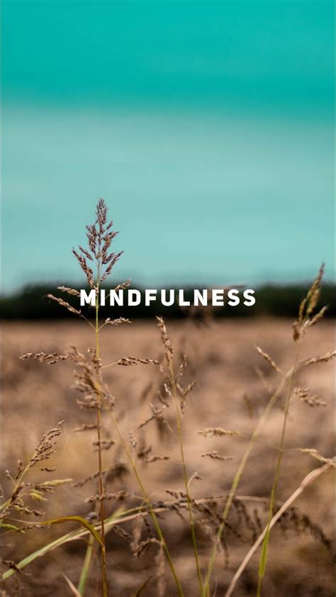 Mindfulness Wallpapers 4k Hd Backgrounds On Wallpaperbat
