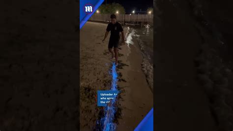 Breathtaking Video Shows Glowing Algae Lighting Up A Beach The Global