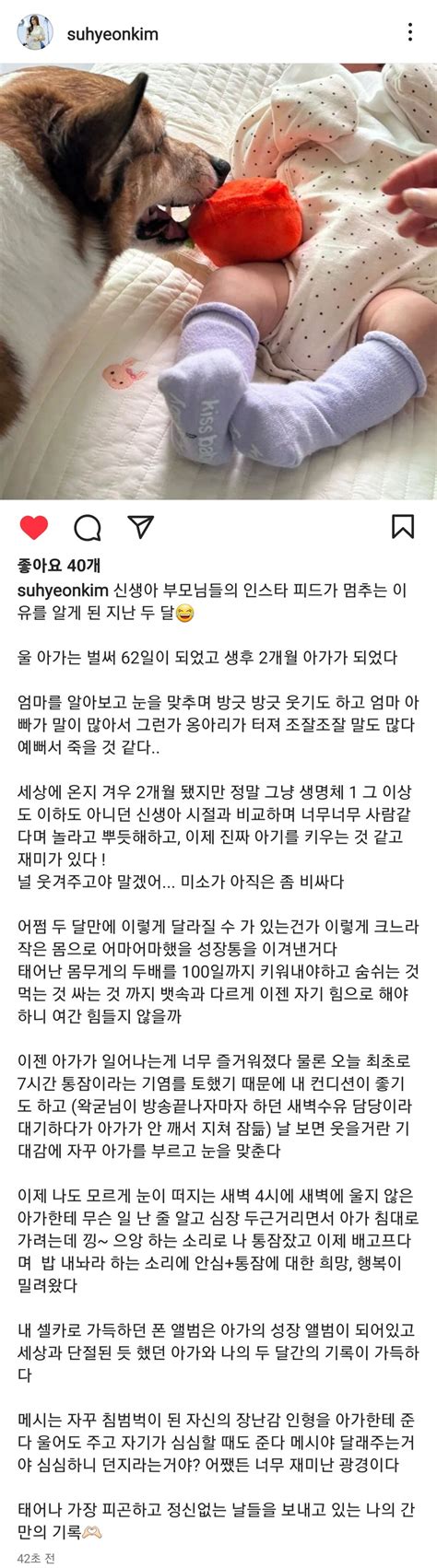 엔젤우왁굳 아내 인스타 댓글 치지직 에펨코리아