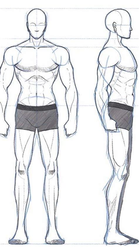 Human Body Drawing Male Pose Reference Body Bases Drawings Buff