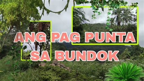 Kaganapan Sa Bundok Na Dati Kong Tinitirhan Jueljanemixvlogs Youtube