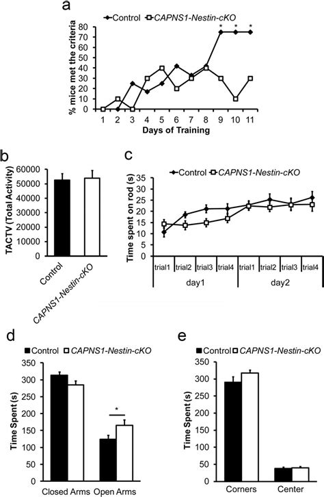 Features Of Synaptic Transmission And Plasticity In Calpain Deficient