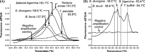 Melting Curve Analysis Obtained In The Fret Probe Method A Curves Download Scientific