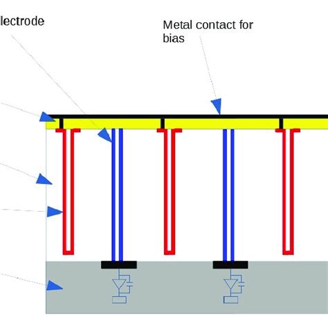 3d A Sih Detector Deposited On A Readout Chip N Type Electrodes Are