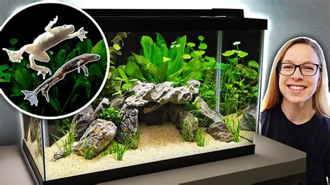 Aquatic Frogs And Betta Fish