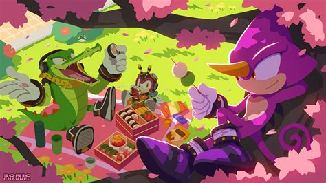 Chaotix Fans Sonic Stadium
