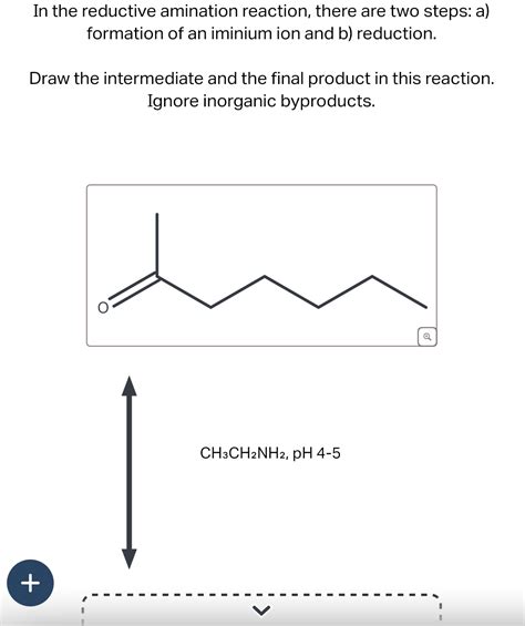 Solved In The Reductive Amination Reaction There Are Two