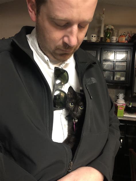Before My Cake Day Ends Lil Binx In A Jacket Raww