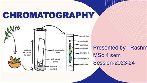 Chromatography And Its Types With Procedurediagramsflow Charts