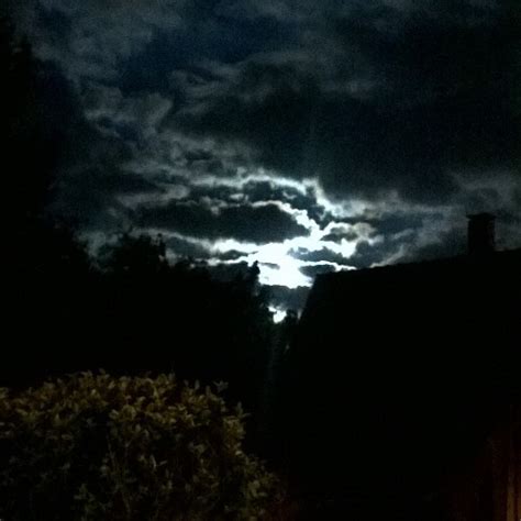 Stream Julia Meier Music Listen To Songs Albums Playlists For Free