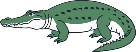Alligator Clipart Vector Images Over 4 500