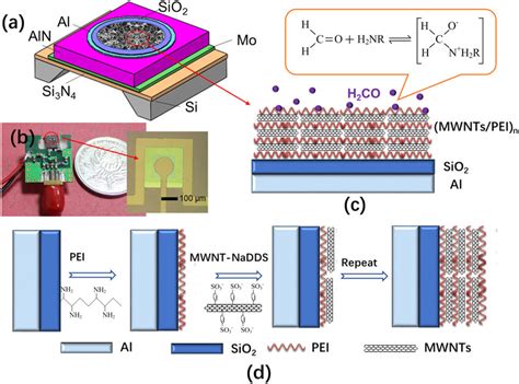 A Schematic Structure Of The Fbar Sensor B Photographs Of The Download Scientific Diagram