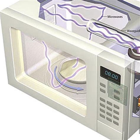 Microwaves Science