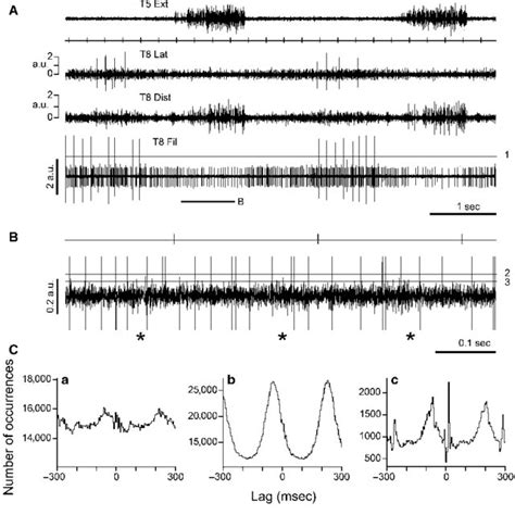 Distributions Of The Spike Amplitude Levels Used A Spike Amplitude Download Scientific