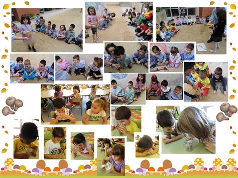 Observem Pets De Llop Tortugues I Motos