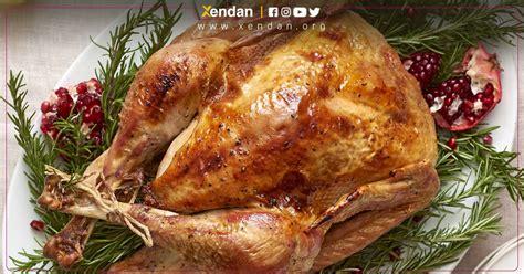 گرنگترین سودەکانی گۆشتی قەل و زیانەکانی