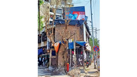 Another Tree Leaves As A Hoarding Arrives