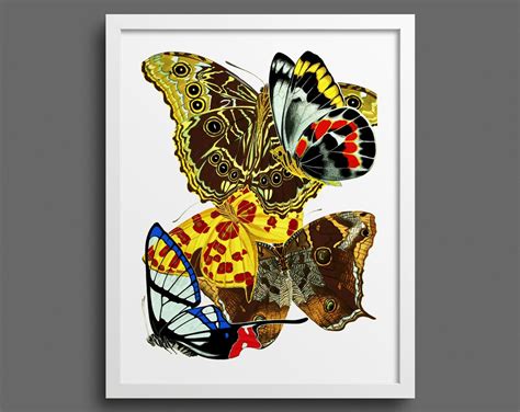 Ea Seguy Butterfly Print Vintage Art Nouveau Wall Decor Etsy