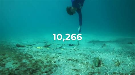 Video Danielle Eberhardt Posted On Linkedin