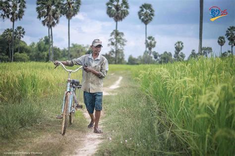 Cambodian Rice The Heart And Soul Of A Nation Cambodianess