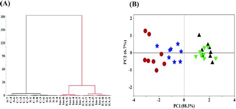 Hca And Pca Analysis Of Neuromuscular Function A Hca Hierarchical