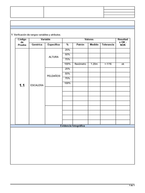Protocolo Pruebas Fat Pdf
