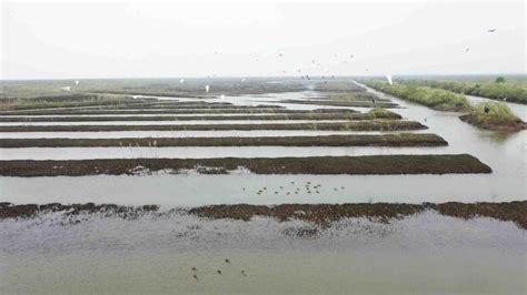 生物多样性保护见成效 下塞湖呈现湿地之美