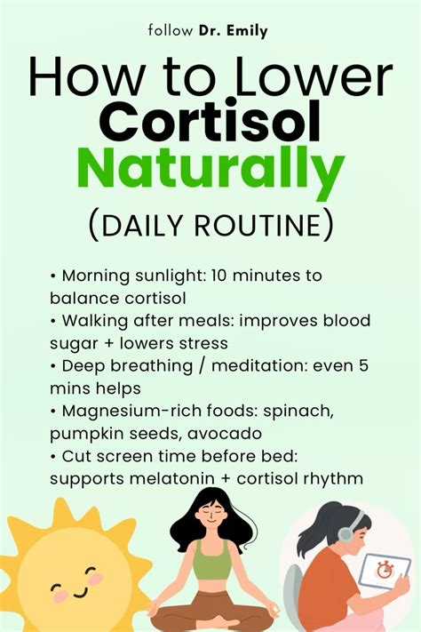 Best 13 5 Powerful Somatic Exercises To Reduce Cortisol Levels Artofit