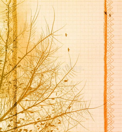 How To Draw A Leaf On Graph Paper