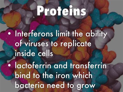 Immune System By André Small