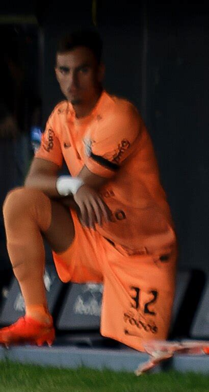 Matheus Donelli Vikipedi