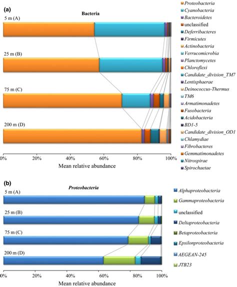 Community Differentiation Of Bacterioplankton In The Epipelagic Layer