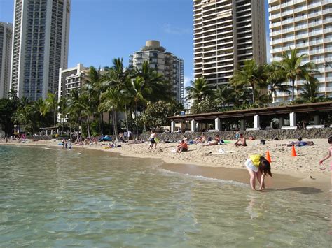 Sex And The Sushi 5106 6106