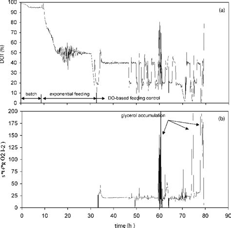 Obe Estimaton Results A Dot Estimation Full Line Is Measured Dot