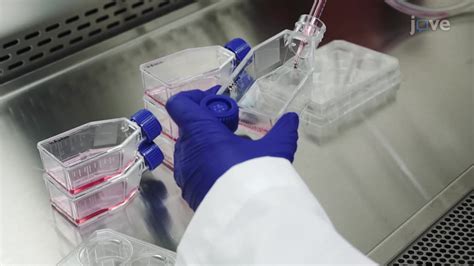 Video Generating And Maintaining Astrospheres Using Human Pluripotent