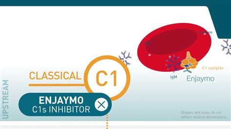 Enjaymo Medical Narration Video Youtube