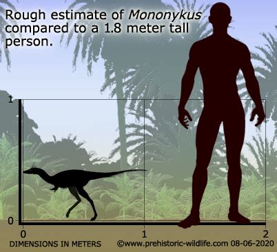 Mononykus