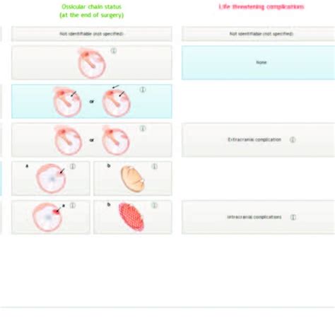 Summary Of Chole Classification And Staging An Example Of Extensive Download Scientific