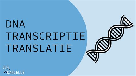 Dna Transcriptie En Translatie Juf Danielle