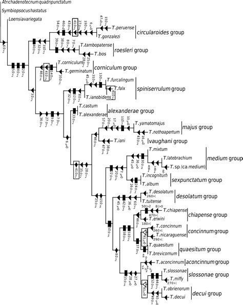 Figure 47 In Systematics And Biogeography Of The New World Species Of