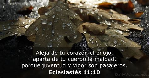 Eclesiastés 11 10 Versículo De La Biblia