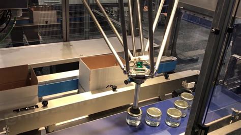 Revolutionary Intelligent Robot Picker Exhibition Unveils Cutting Edge Sealing System Bag