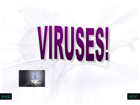 Viruses Affecting Man Entymology Definition Classification Virus