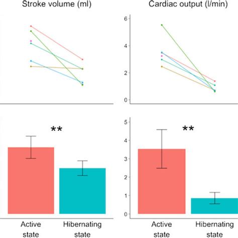 Differences In Heart Rate Stroke Volume Cardiac Output And Cardiac
