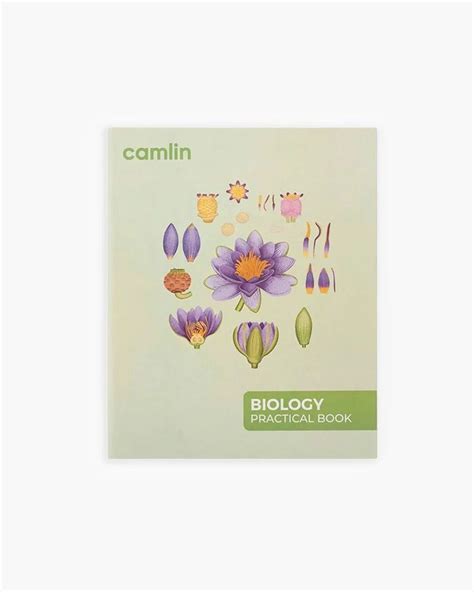 Laminated Paper Cover Camlin Practical Notebook For School Size A5 At Rs 50 In Guwahati