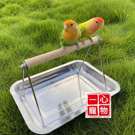 鸚鵡站架 不鏽鋼桌面架 鸚鵡鳥類訓練架 外帶架 訓鳥架 鳥用站杆 蝦皮購物