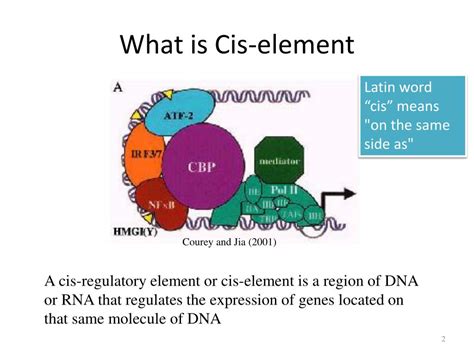 Ppt Cis Regulatory Element Study In Transcriptome Powerpoint