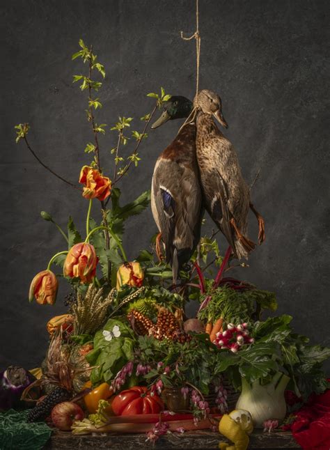 Jeff Robb Still Life And Game Ii