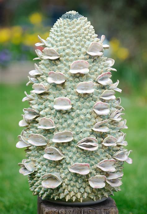 Made Image Of The Day Frances Doherty