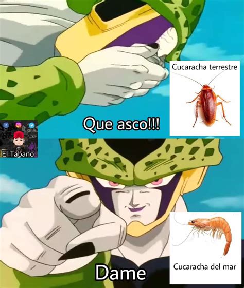 Top Memes De Cell En Español Memedroid